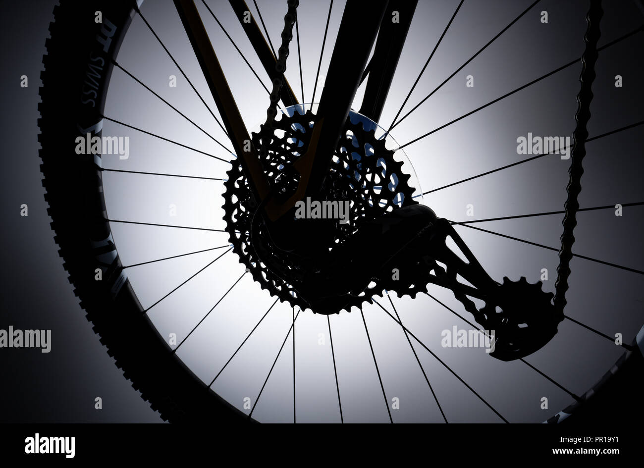 Rear wheel of a mountain bike with rear derailleur, chain and gear cogs ...