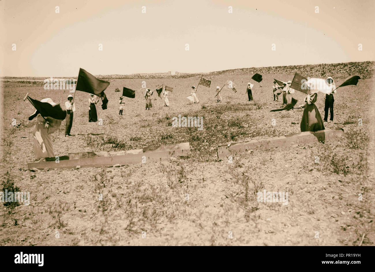 Plague of locusts in palestine hi-res stock photography and images - Alamy