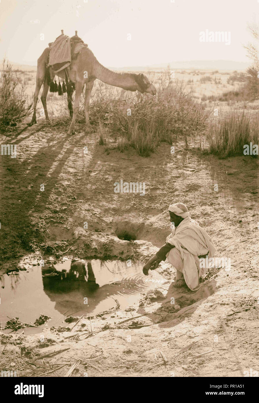 Spring in egypt hi-res stock photography and images - Alamy