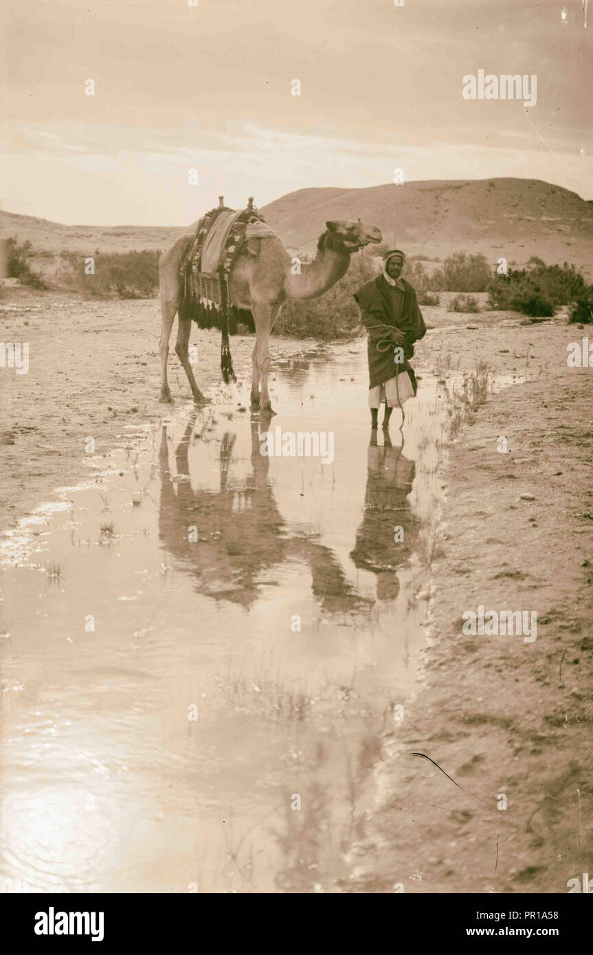 Wady gharandel hi-res stock photography and images - Alamy