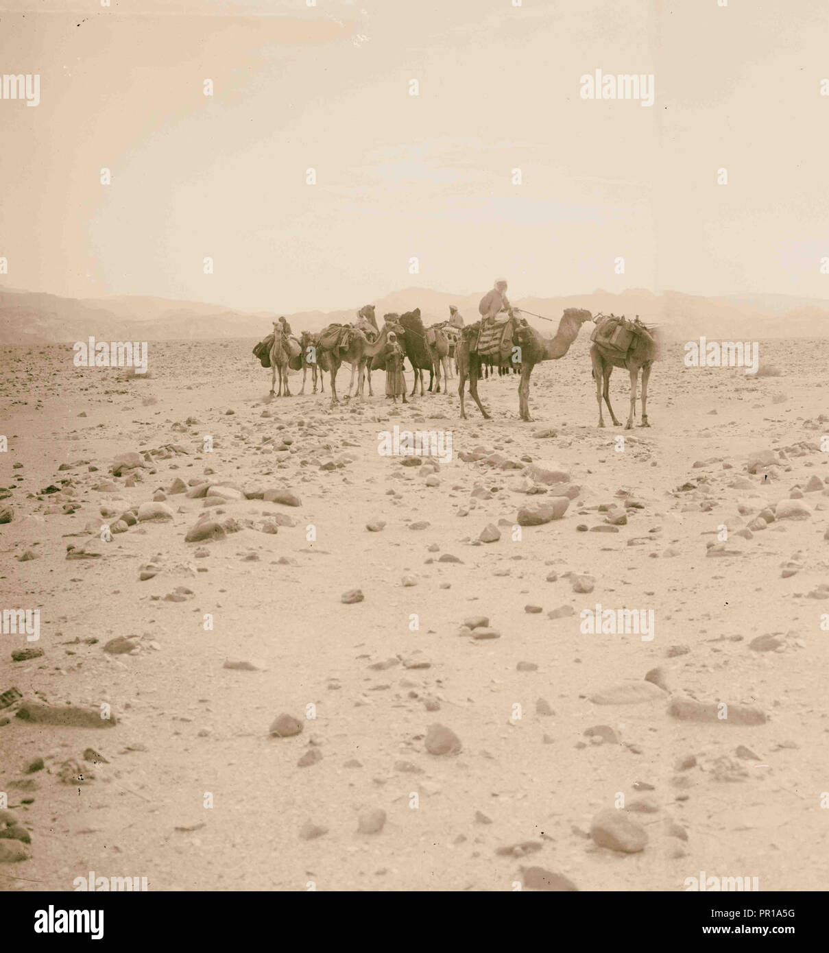 To Sinai via the desert. The wilderness of sin. 1900, Egypt, Sinai ...