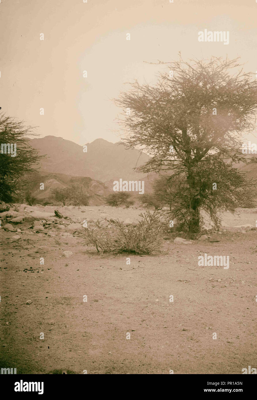Sinai Via High Resolution Stock Photography and Images - Alamy