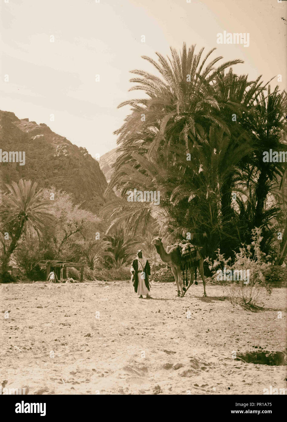 To Sinai via the desert. Scene in Wady Feiran. 1900, Egypt, Sinai Stock ...