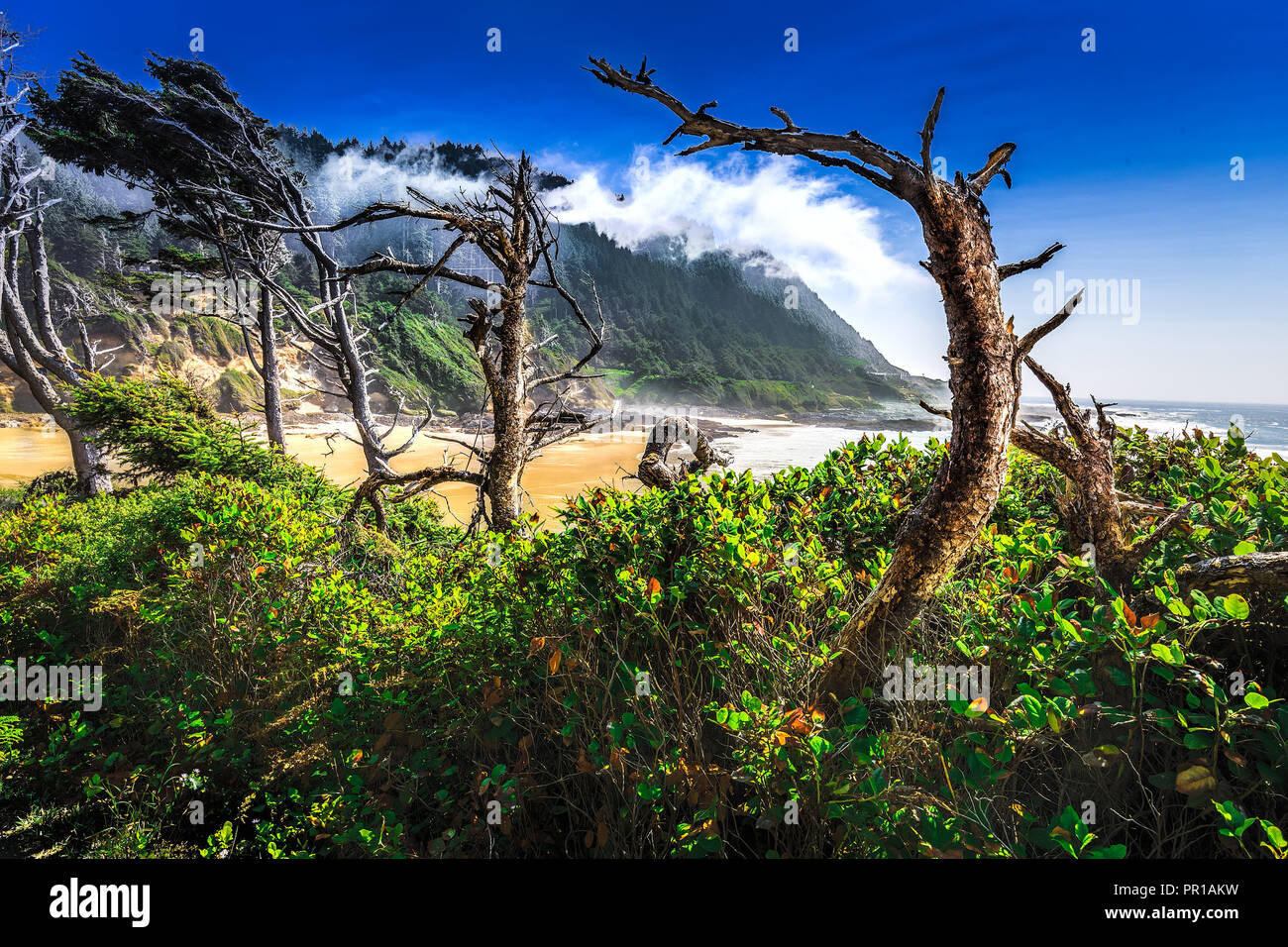 Devil's Churn Beach Area, Oregon Stock Photo - Alamy