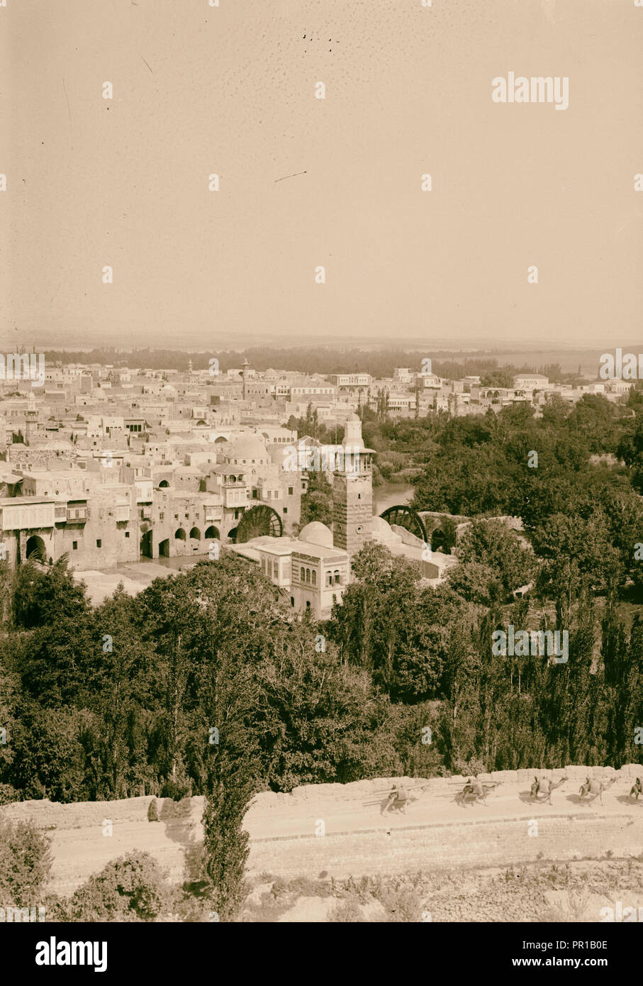 Hamath High Resolution Stock Photography and Images - Alamy