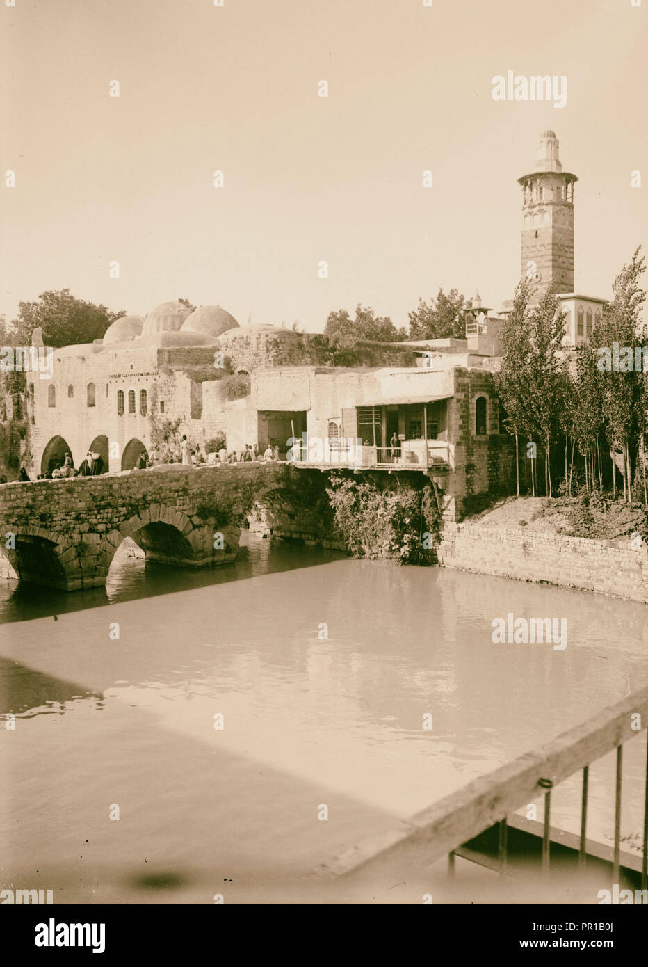 Hamath hi-res stock photography and images - Alamy