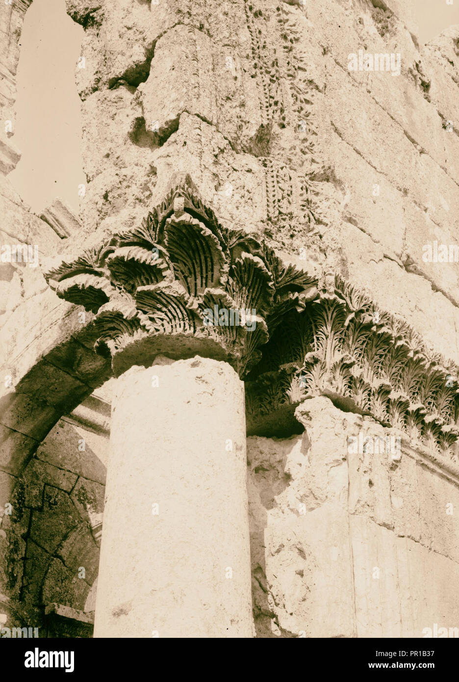 Acanthus Architecture