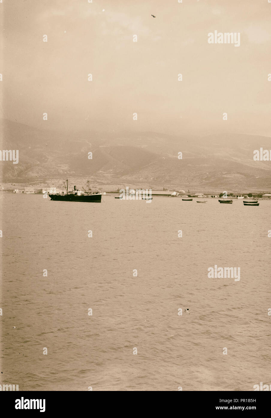 Alexandretta hi-res stock photography and images - Alamy