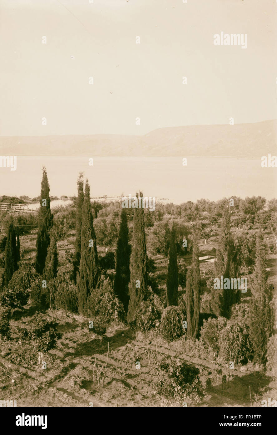 Jewish colonies and settlements. Various Jewish colonies, etc. Orchards ...