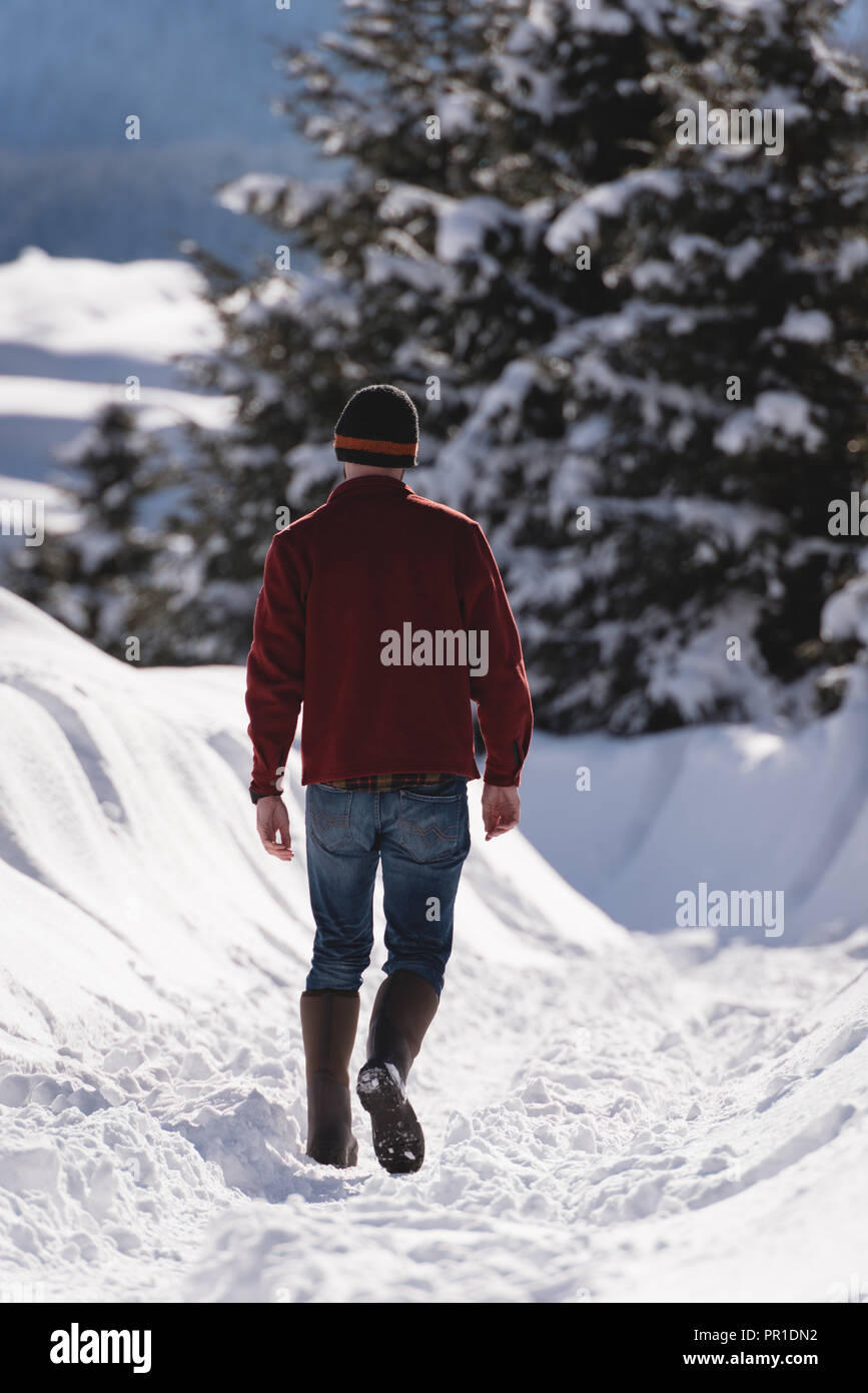 Man walking on a snowy region during winter Stock Photo - Alamy