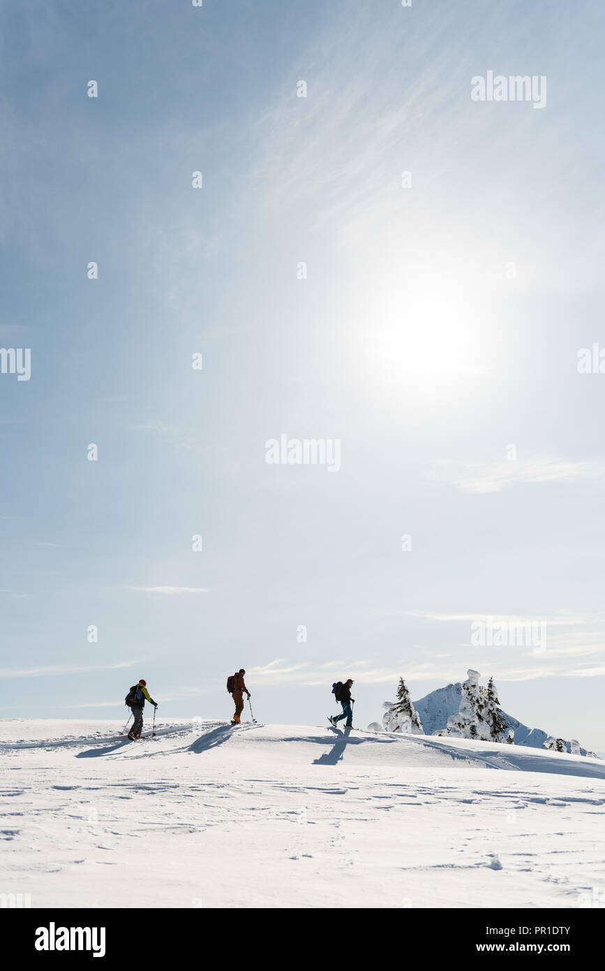 Group of skiers walking on a snowy mountain Stock Photo - Alamy
