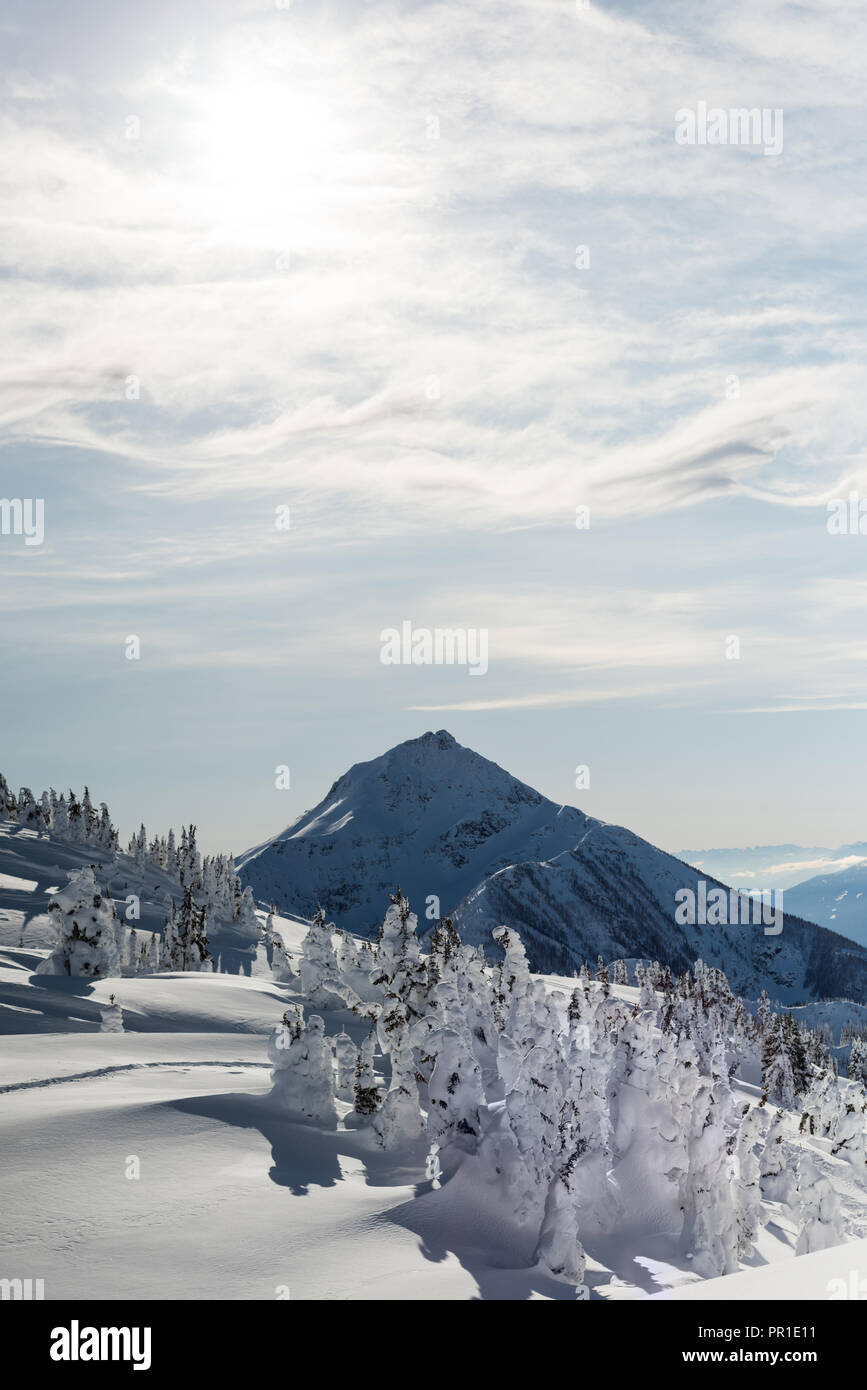 Snow capped trees winter hi-res stock photography and images - Alamy