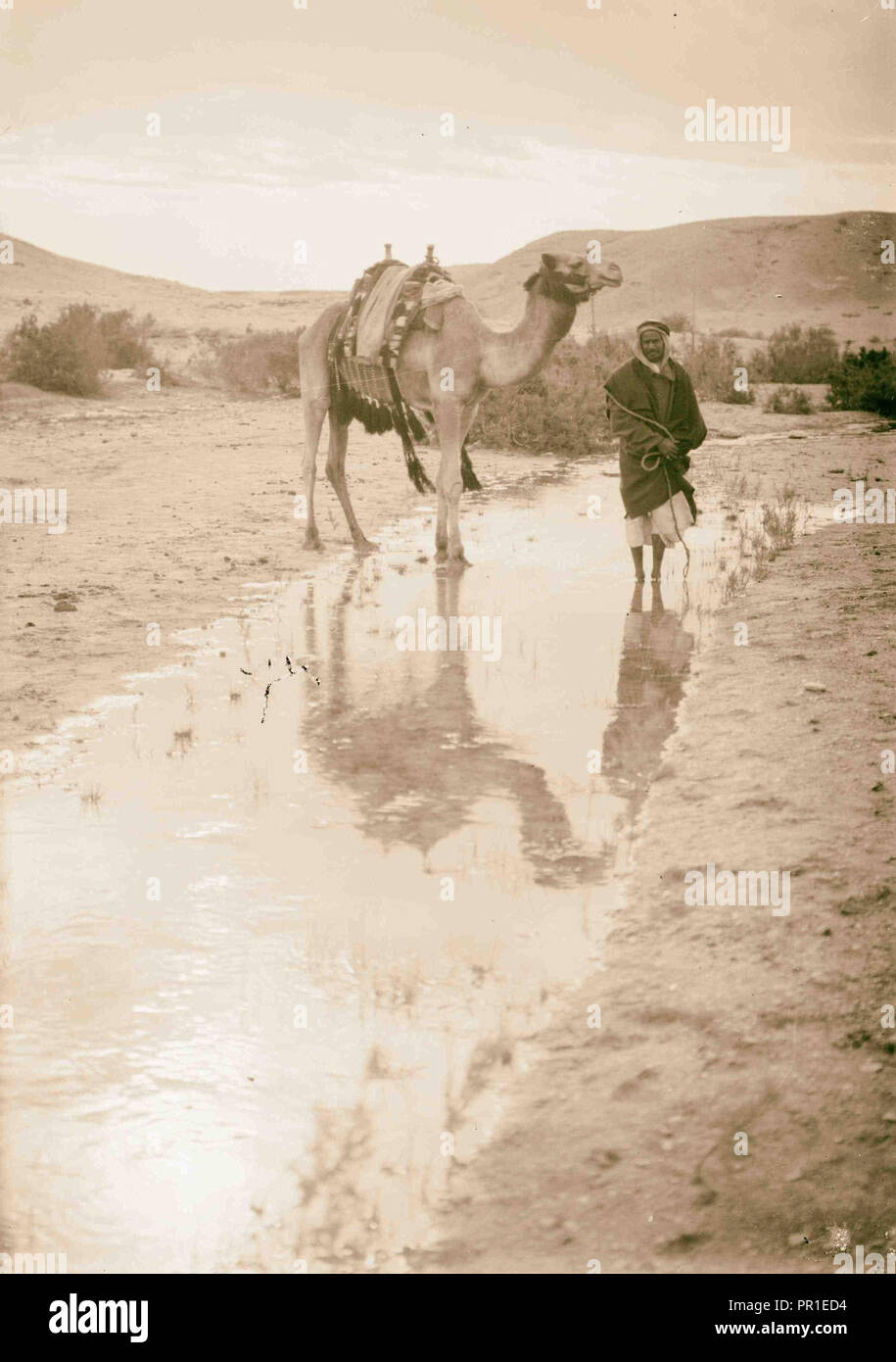 Sinai. 1898, Egypt, Sinai Stock Photo - Alamy