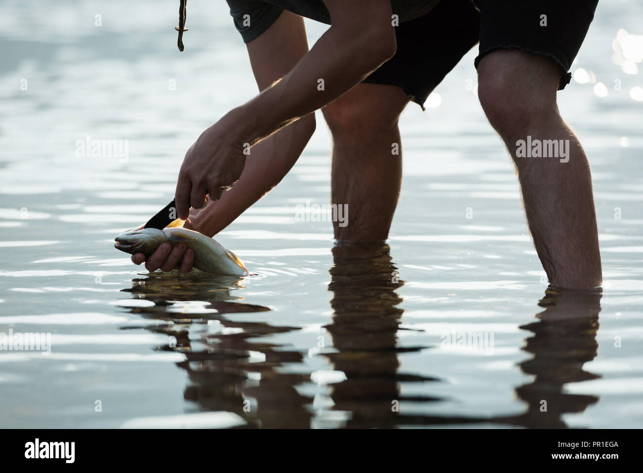 Fisherman holding a fish hi-res stock photography and images - Alamy