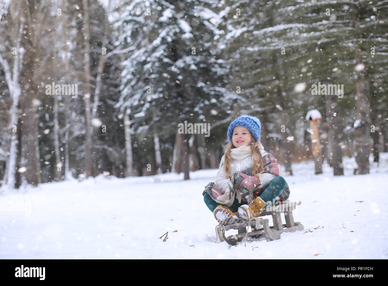 A winter fairy tale, a young mother and her daughter ride a sled Stock ...