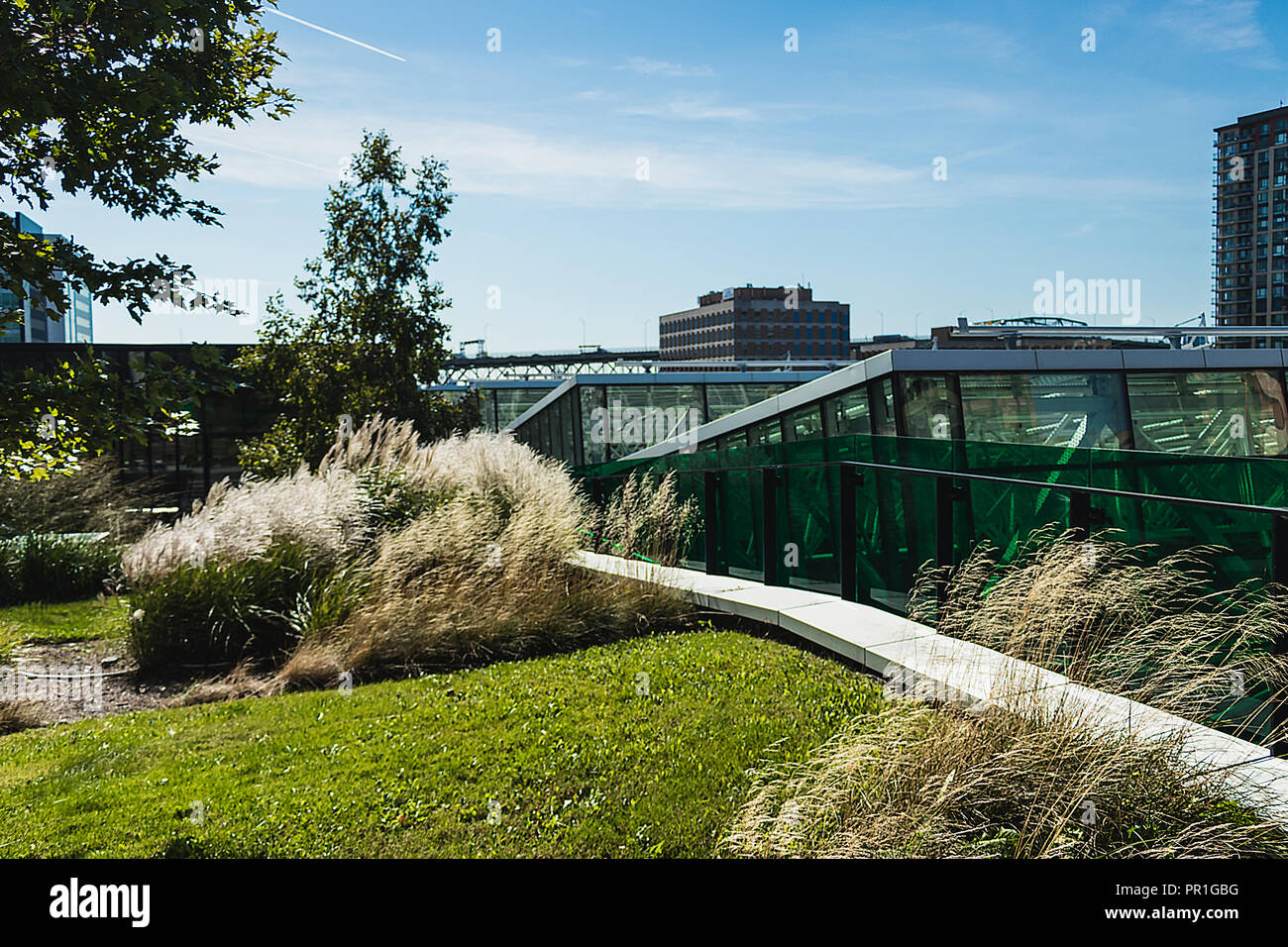 Urban Green roof top - Universite Sherbrooke - Longueuil, Quebec ...
