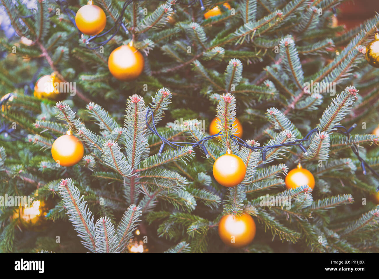 Christmas Tree at Christmas Market at Gendarmenmarkt square in Winter ...