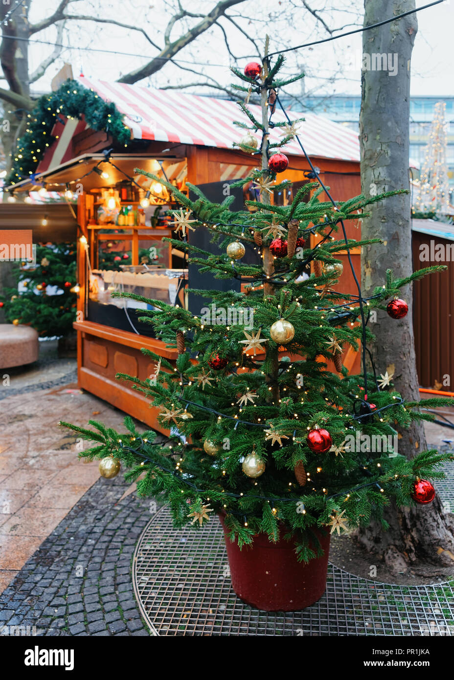 Christmas Tree near Market at Kaiser Wilhelm Memorial Church in Winter ...