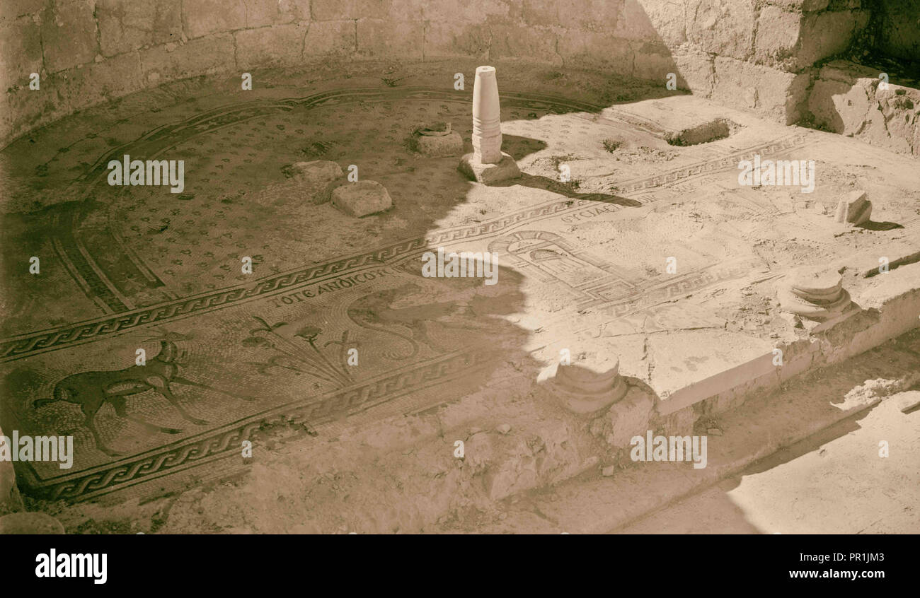 Mount Nebo. 'Jebel Nebba'. Nebo, Chapel of St. Mary. Mosaic floor of ...