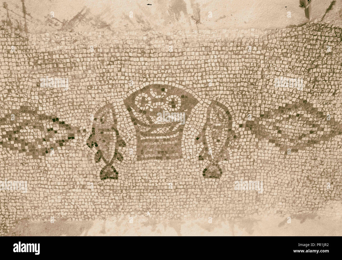 Northern views. Ain Tabgha. Mosaic floor. Loaves and fishes. 1920 ...