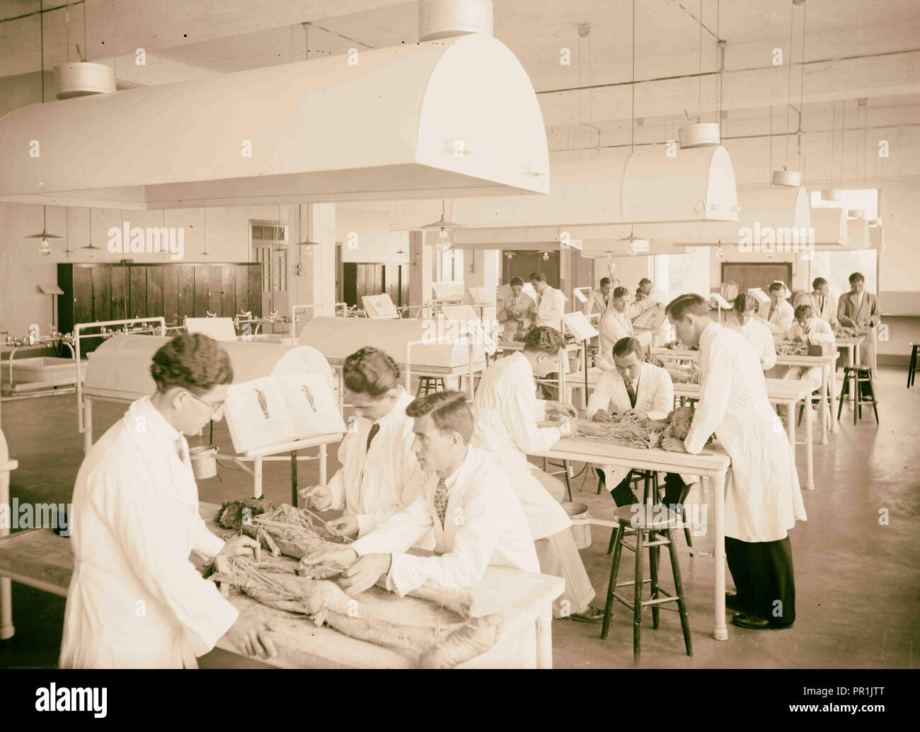 Dissecting class hi-res stock photography and images - Alamy