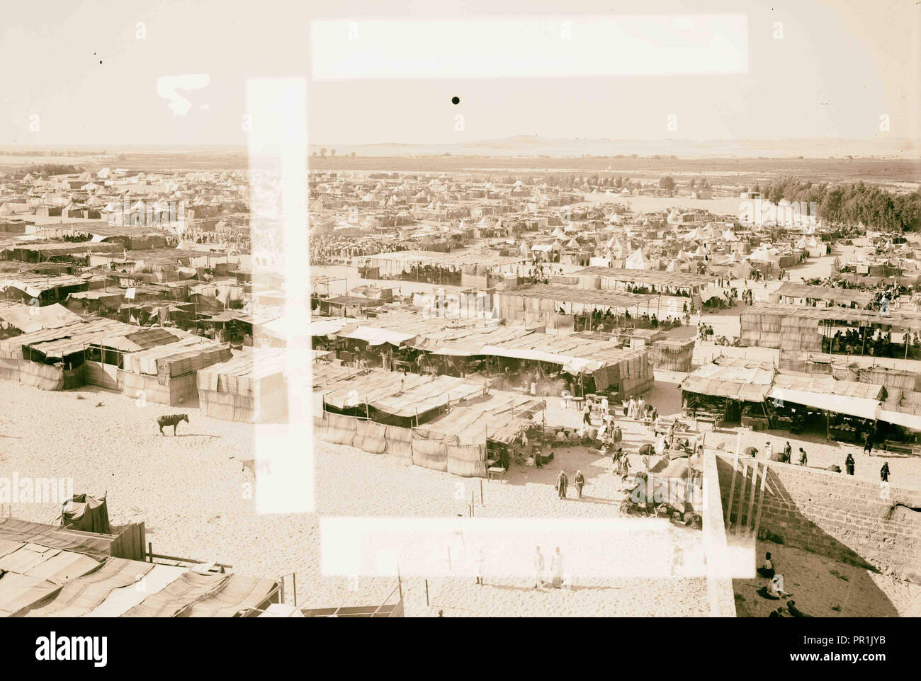 Southern Palestine. Nebi Rubin (the prophet Reuben). A Moslem [i.e ...