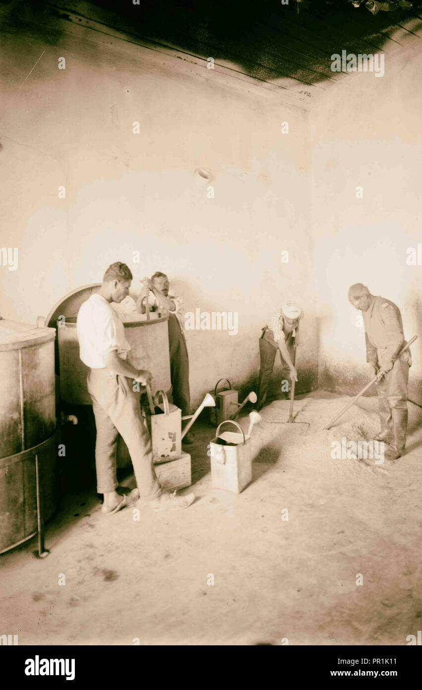 Locust plagues in Palestine. Methods of fighting the locust plague ...