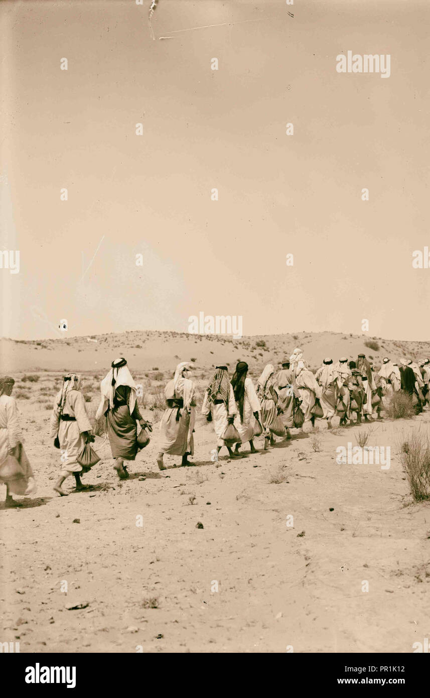 Locust plagues in Palestine. Methods of fighting the locust plague. The ...