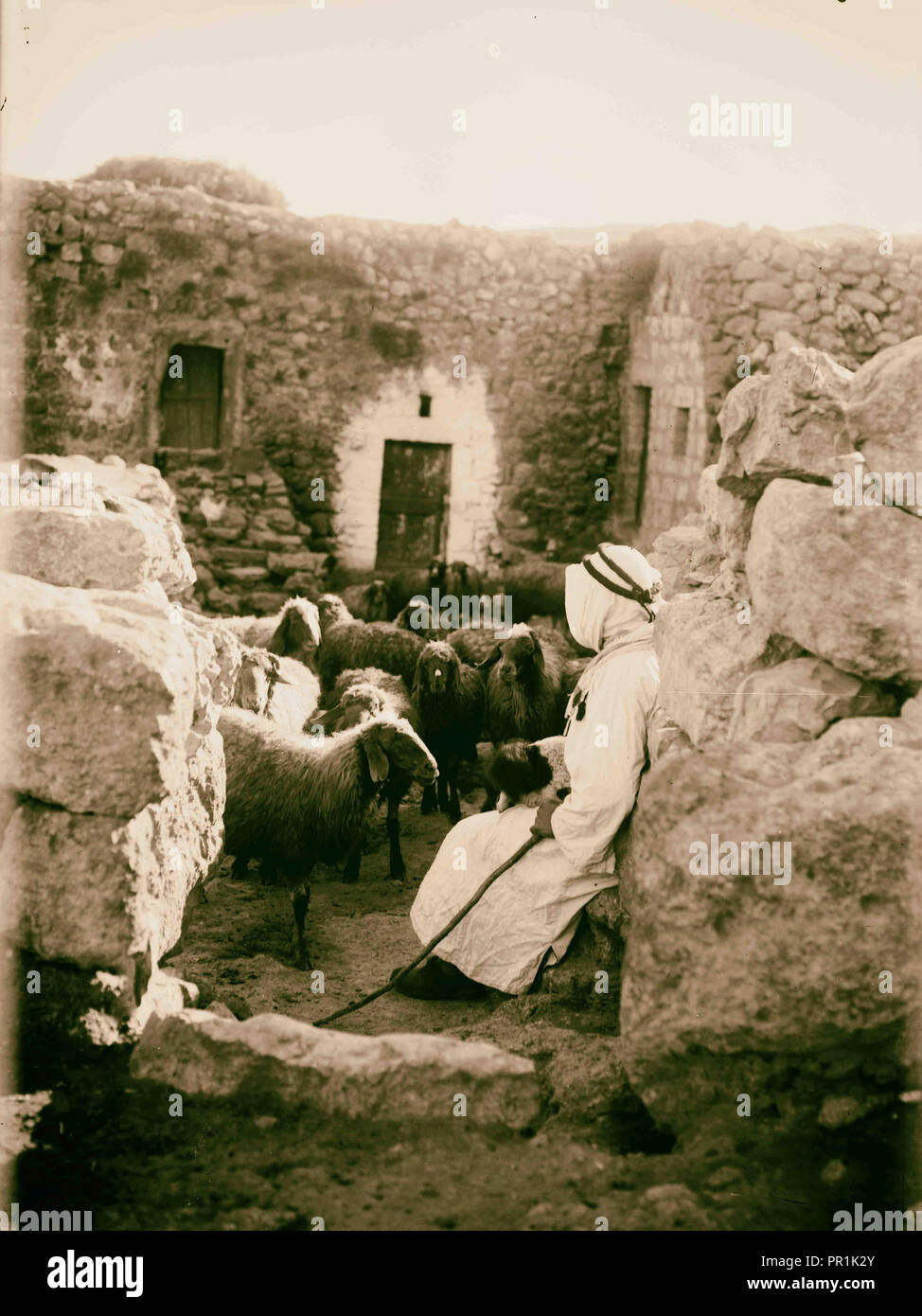 Agriculture, Shepherd scenes Village sheep-cote at Sharafat, Sherafat ...