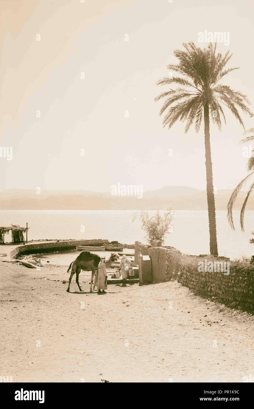 The Araba. (Southern end of the Great Jordan Rift). Negeb el-Shurk ...