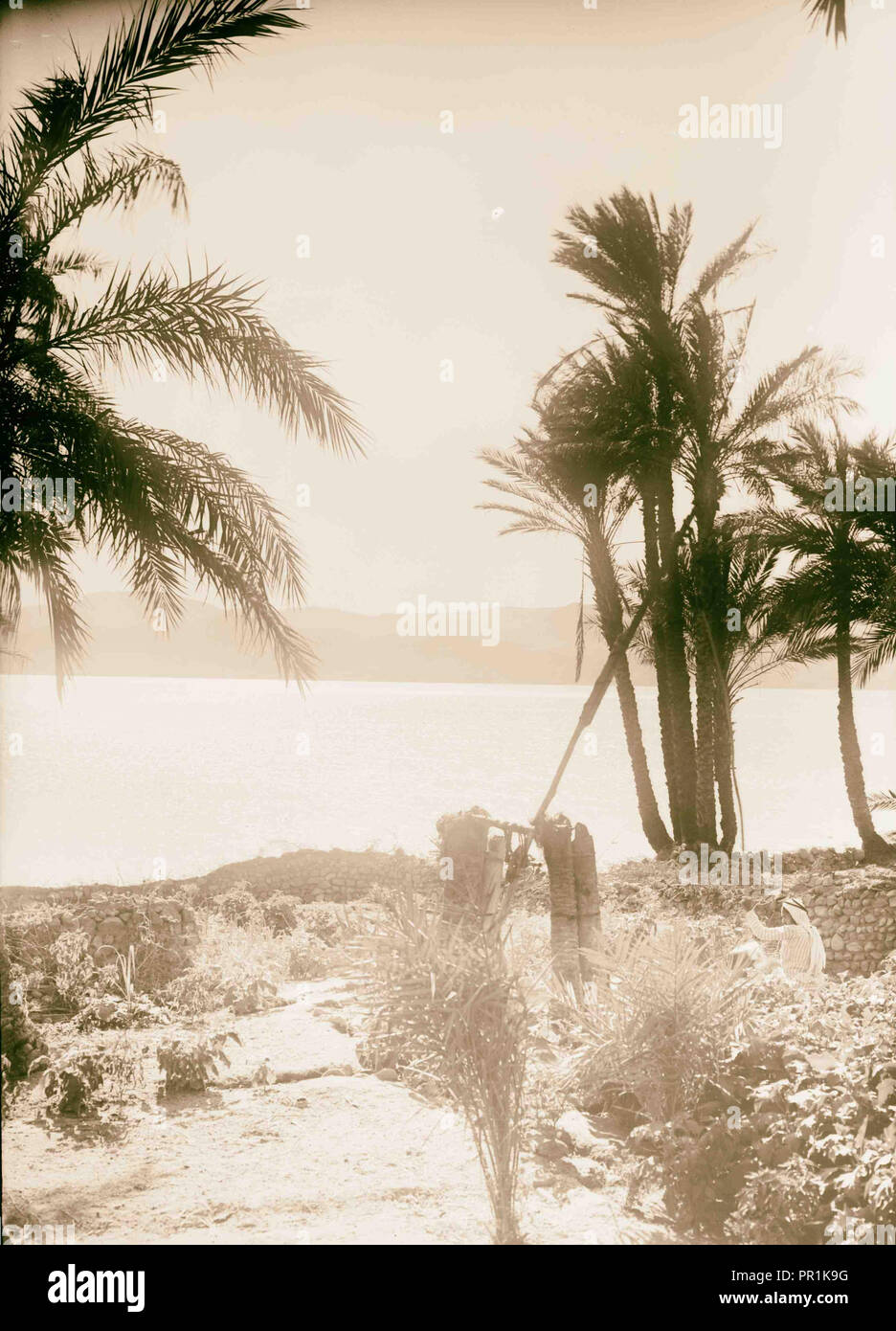 The Araba. (Southern end of the Great Jordan Rift). Negeb el-Shurk ...