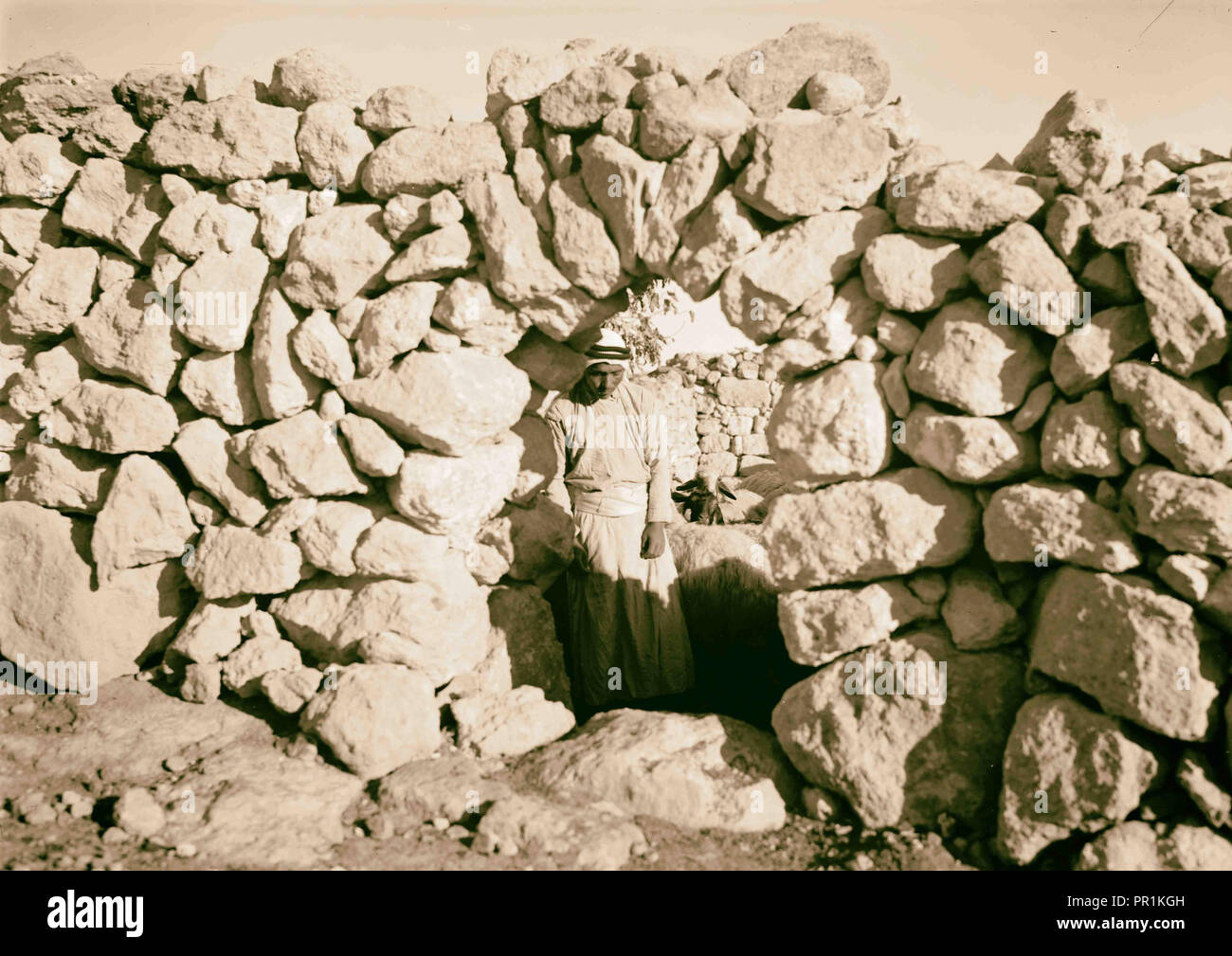 Sheep fold cave. Entrance, with shepherd. 1934, Middle East Stock Photo ...