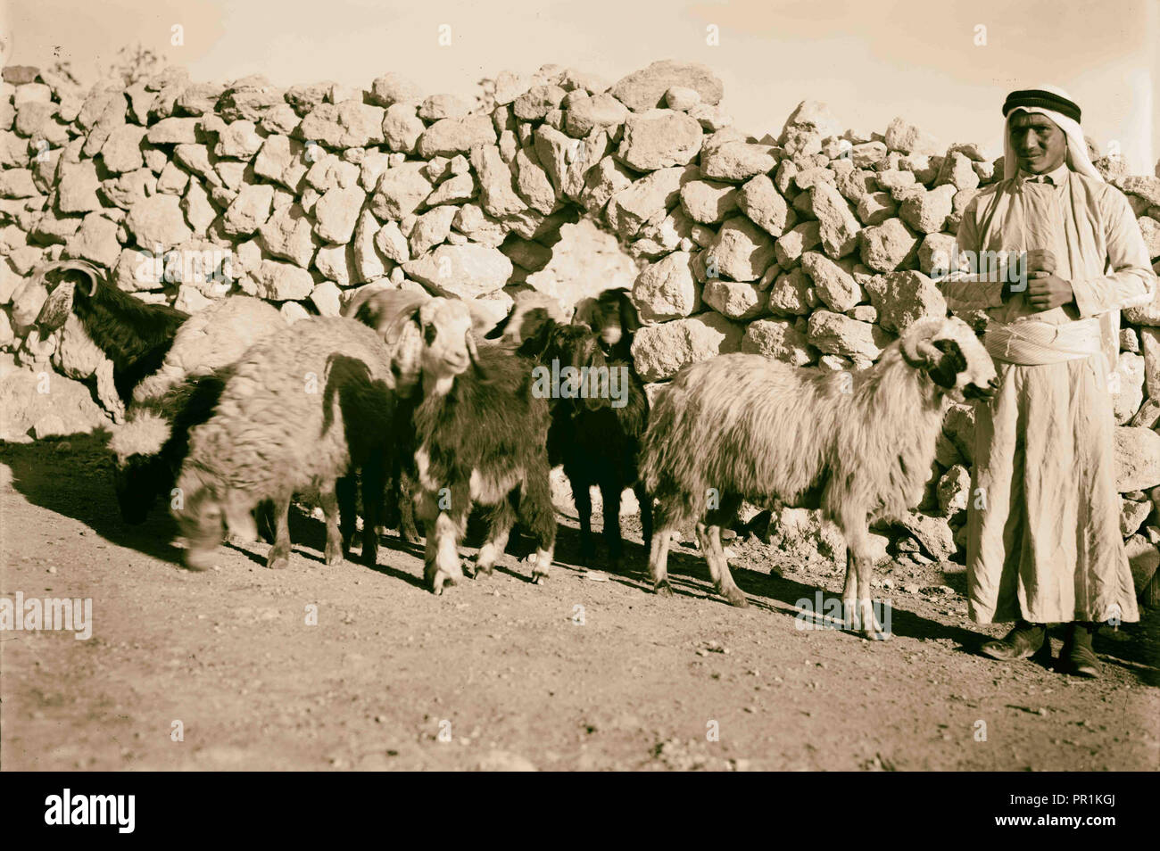 Shepherds fields bethlehem israel hi-res stock photography and images ...