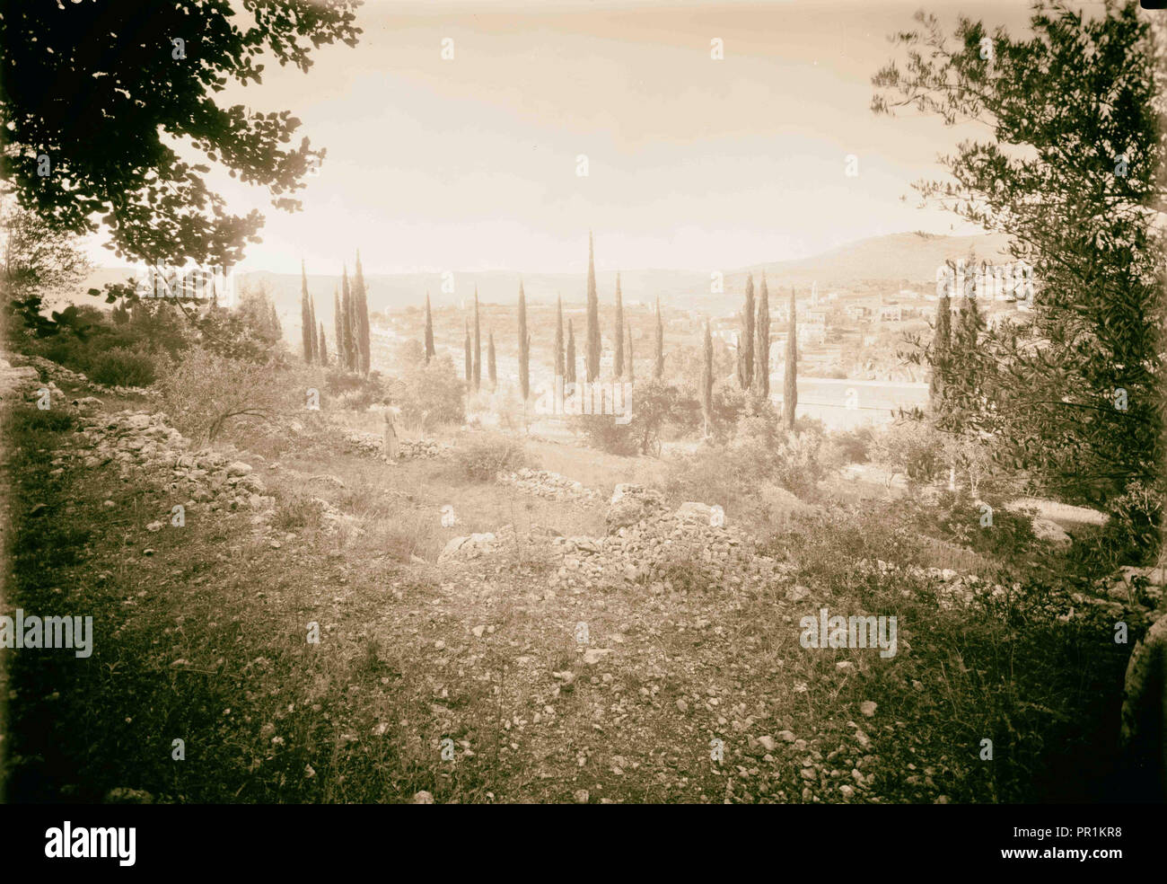 Karim said hi-res stock photography and images - Alamy