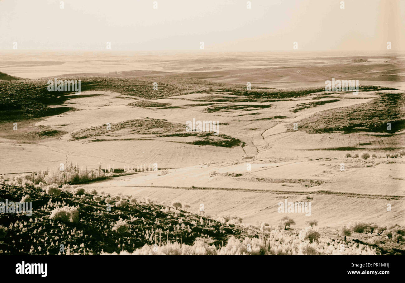 Plain of Sharon from Beit Jamal. Valley of Elah. 1934, Israel Stock ...
