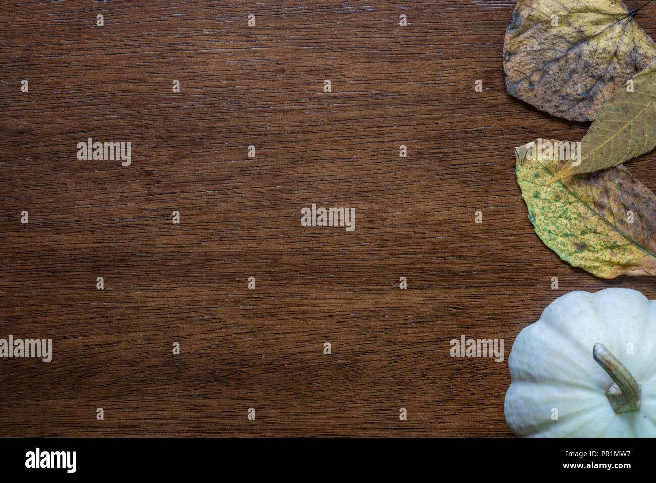 white pumpkin and autumn leaves right side border on wood background ...