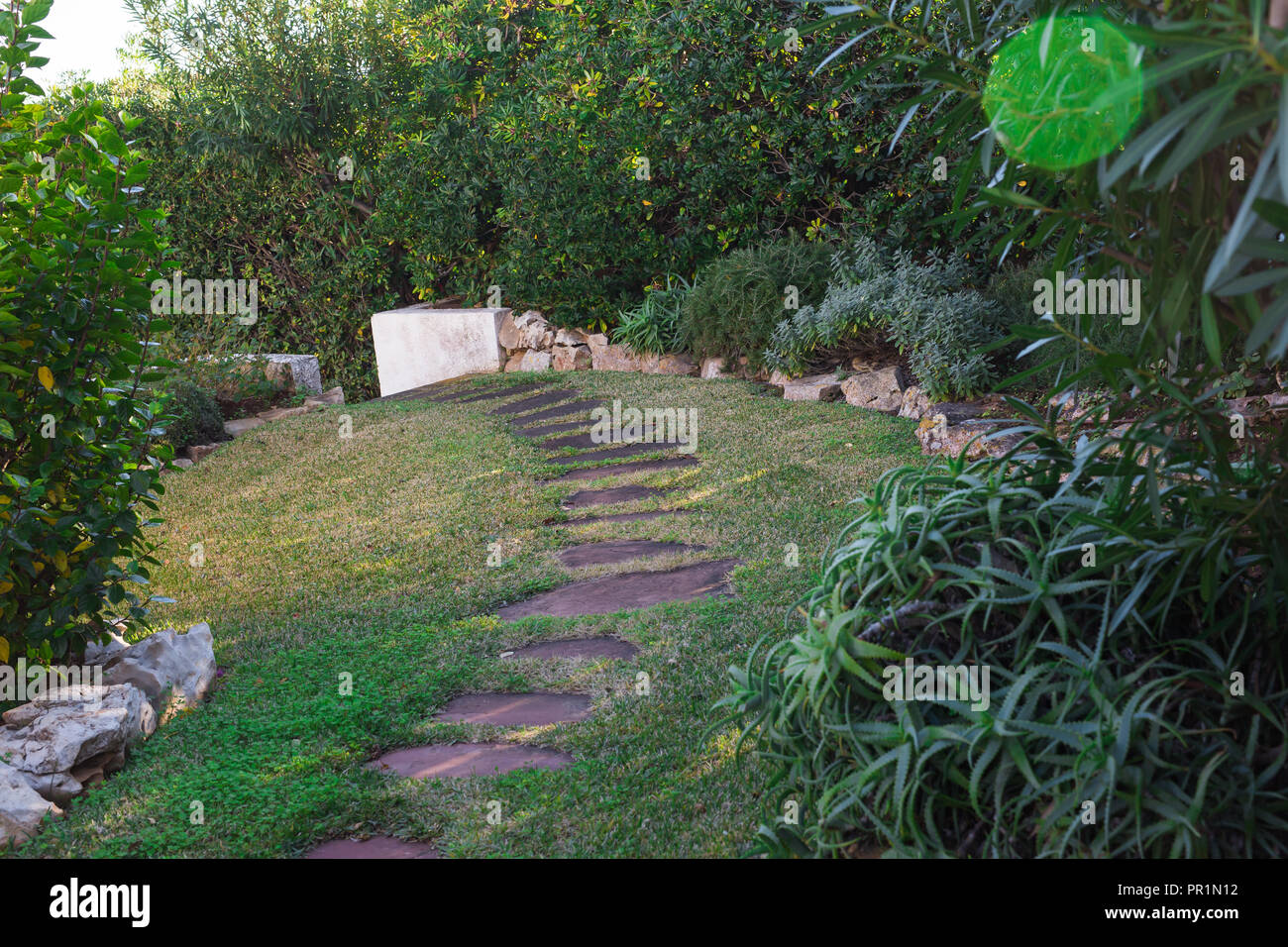 Paving Stones Road Texture in summer park Stock Photo - Alamy