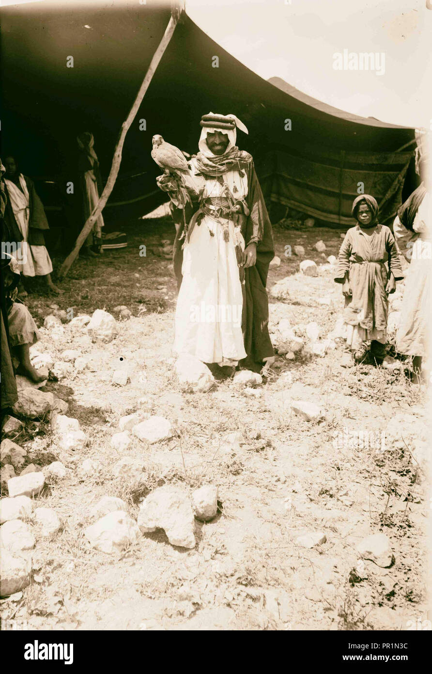 Bedouin with falcon for hunting 1898, The Bedouin are nomadic Arab ...