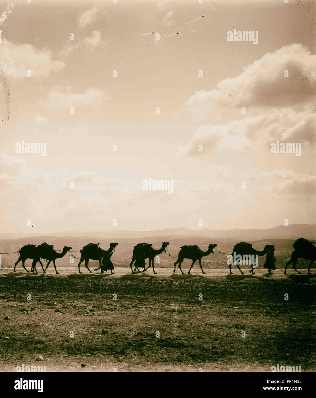 Caravan silhouette 1898, Middle East, Israel and/or Palestine Stock ...