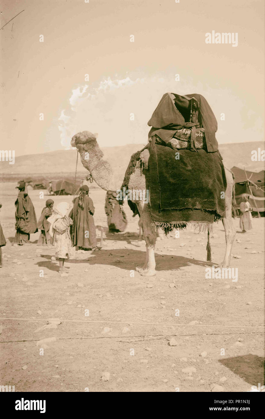 Bedouin, a wedding Brides maids 1898, The Bedouin are nomadic Arab ...