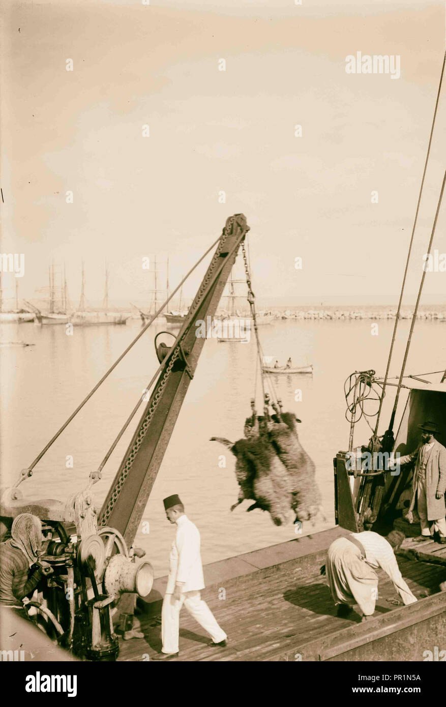 Sheep boat hi-res stock photography and images - Alamy