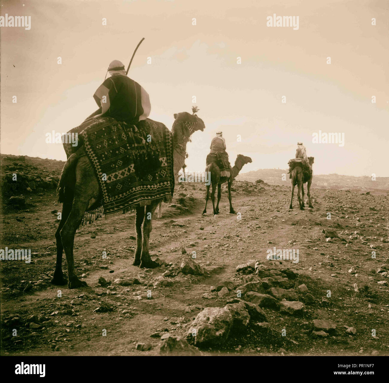 Three 'Wise Men' on way to Bethlehem in distance. 1898, West Bank ...