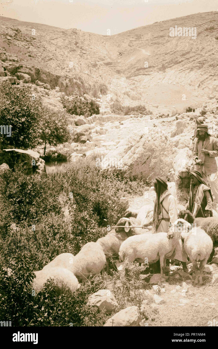 Palestine shepherd hi-res stock photography and images - Alamy