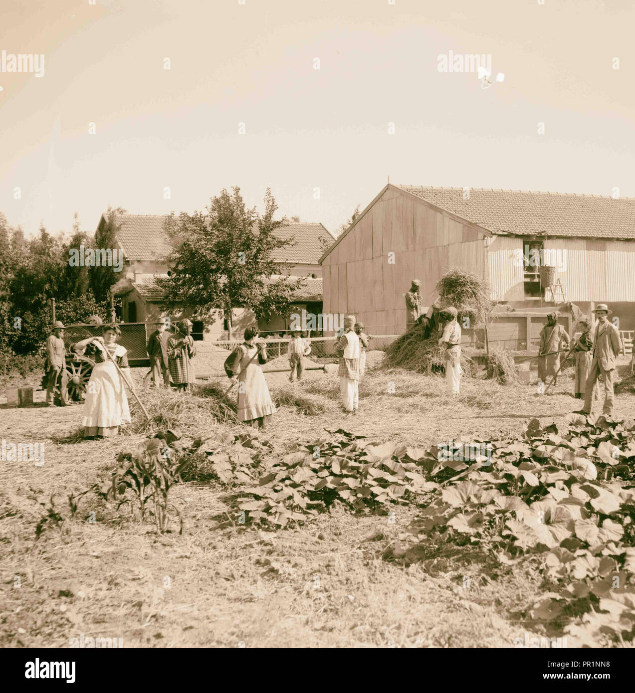 Jewish colony 1898, Middle East, Israel Stock Photo - Alamy