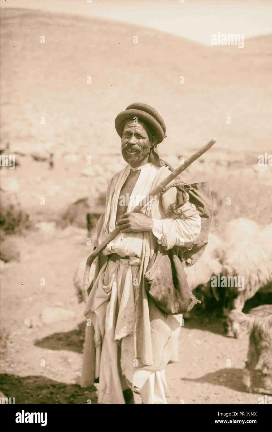 Shepherd sheep palestine hi-res stock photography and images - Alamy