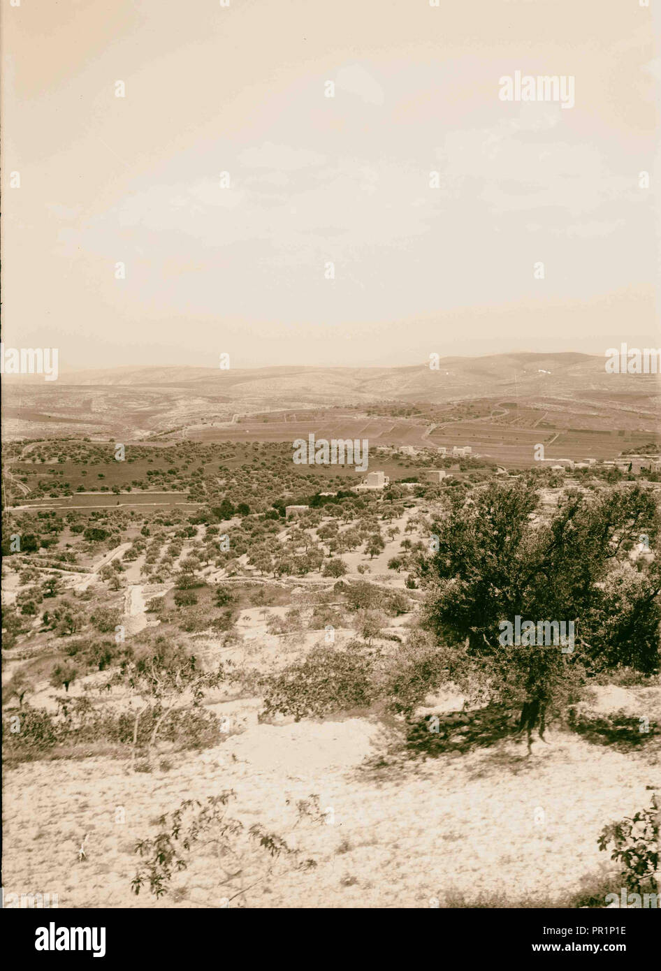 Shepherd's field bethlehem hi-res stock photography and images - Alamy