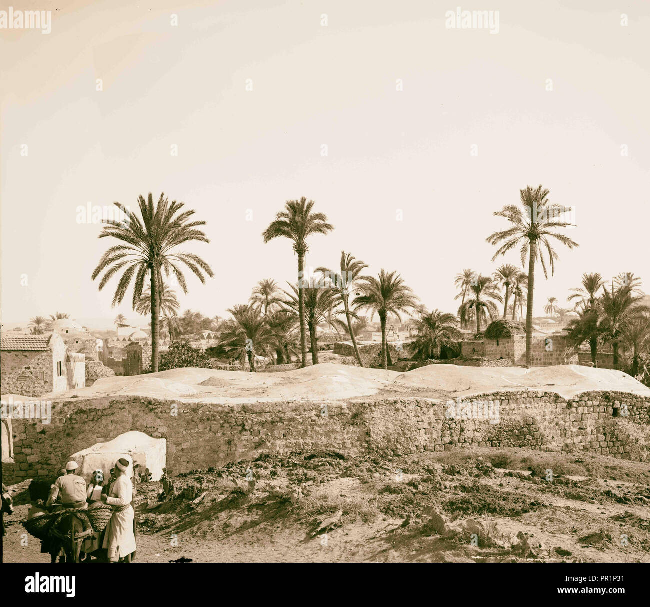 Jaffa (Joppa) and environs. Lydda (Lod), reputed home of St. George and ...