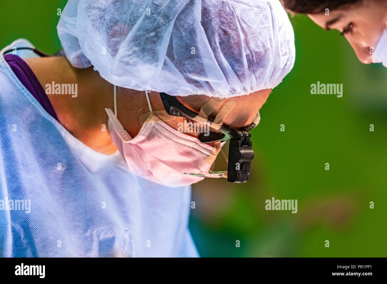 Surgeon and his assistant performing cosmetic surgery on nose in ...