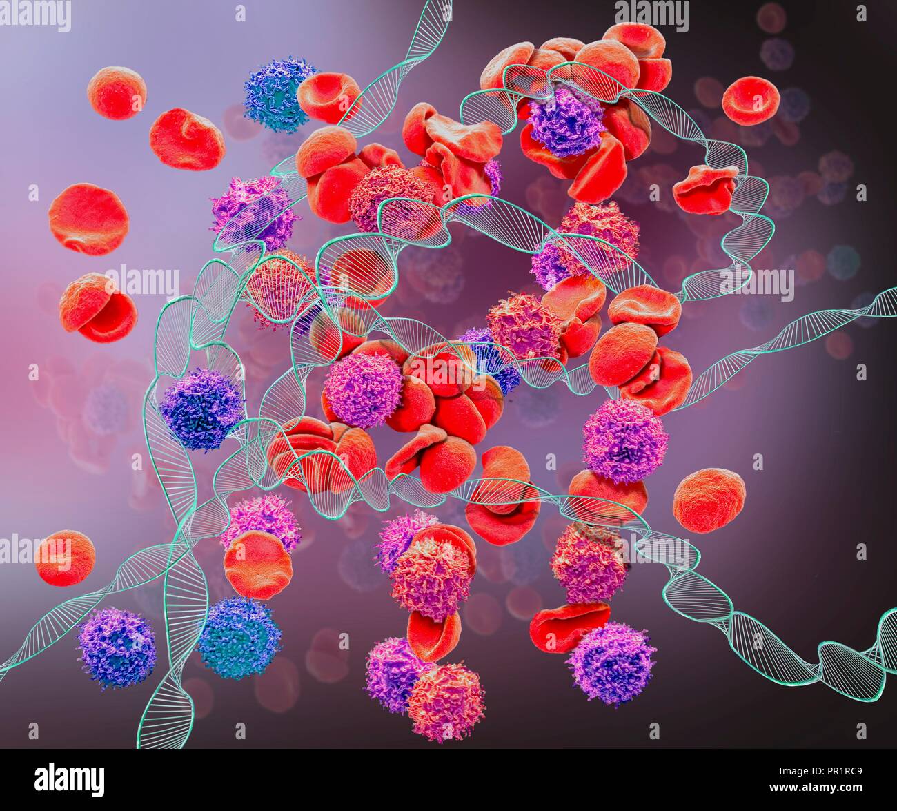 Electron Microscopy Human Cell High Resolution Stock Photography and ...