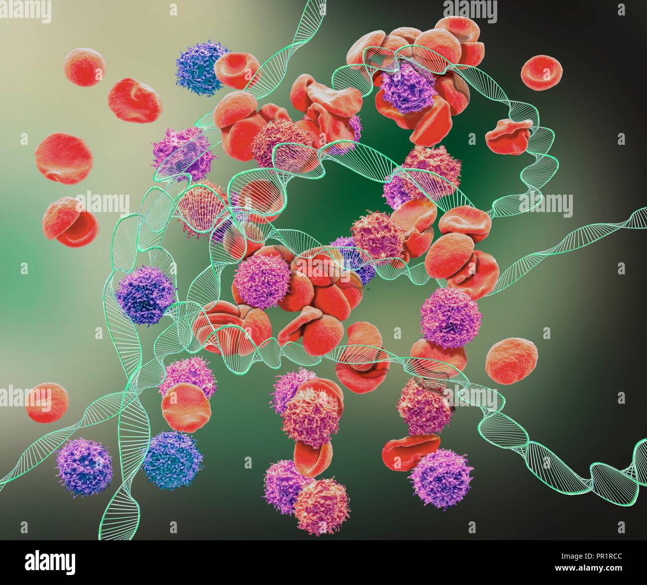 Scanning electron microscope image hi-res stock photography and images ...